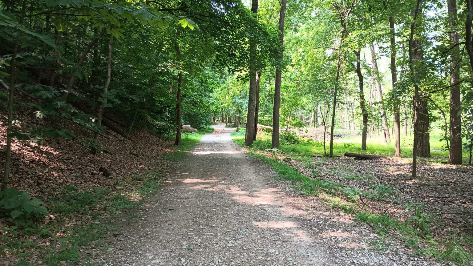 Creve Coeur Lake Park: A Little Bit of Everything in St. Louis County ...