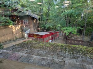Marvel Cave: Everything You Need to Know About the Silver Dollar City ...