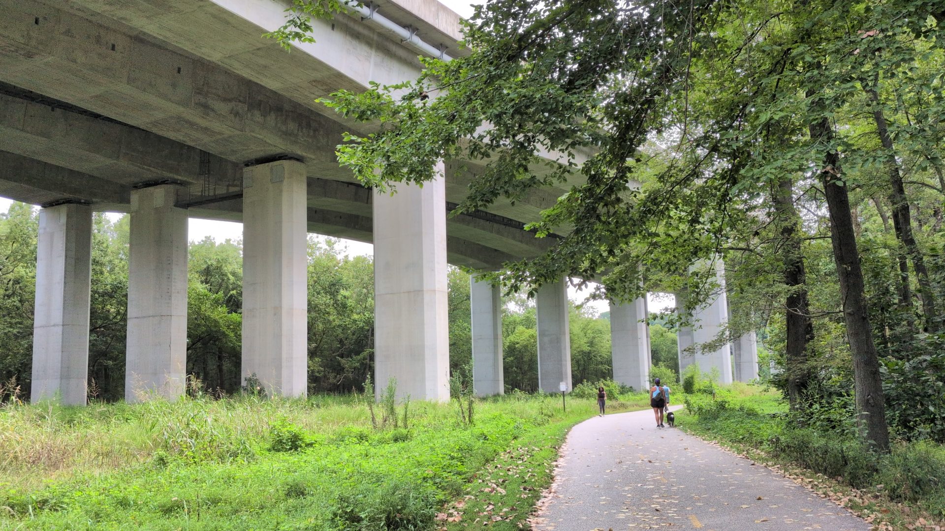 Creve Coeur Lake Park: A Little Bit of Everything in St. Louis County ...